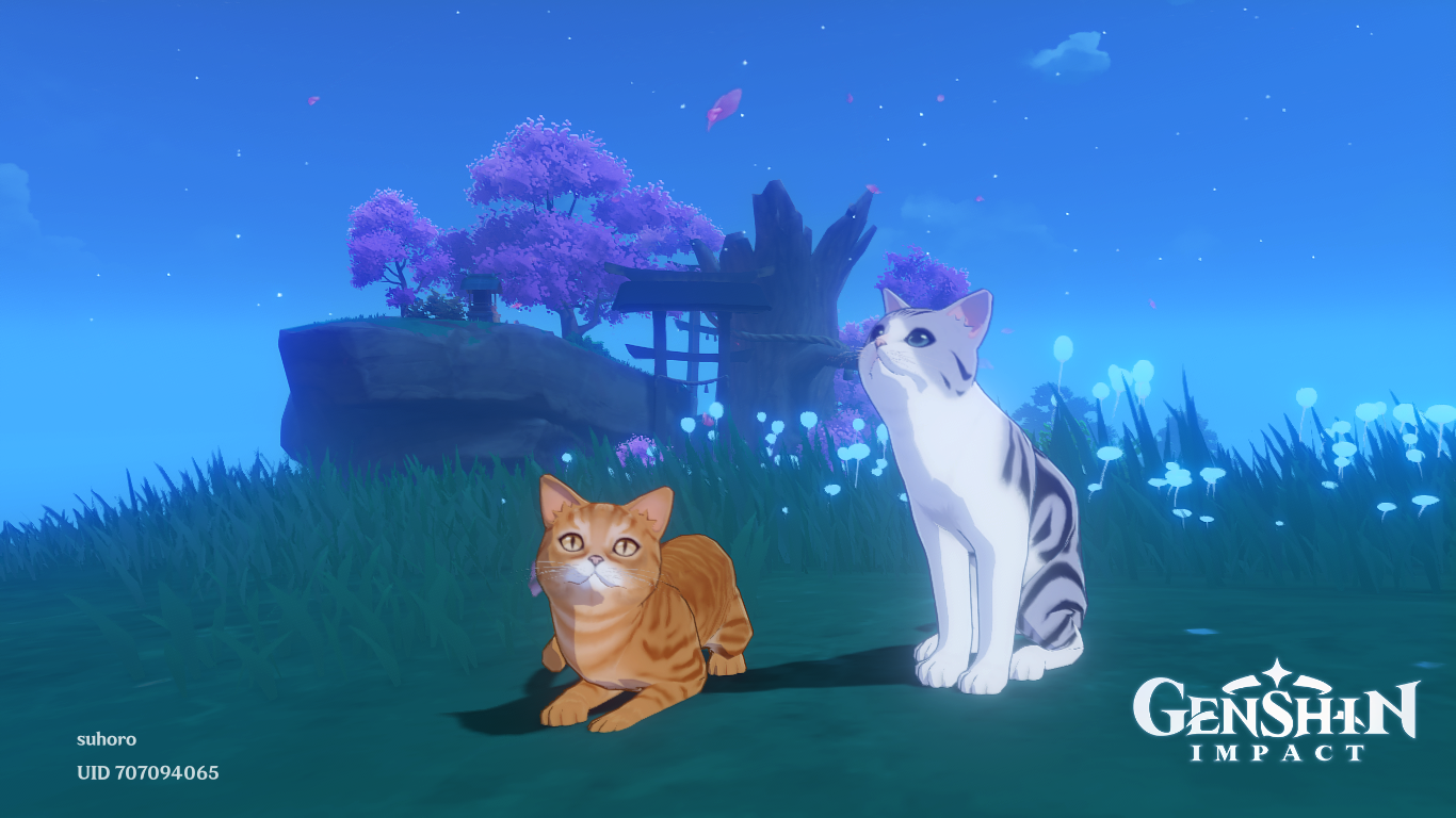 cat island | Genshin Impact | HoYoLAB