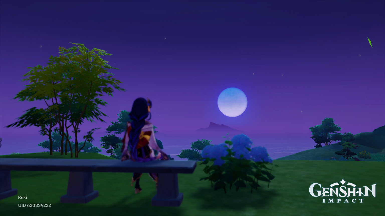 The Raiden Shogun Genshin Impact | HoYoLAB