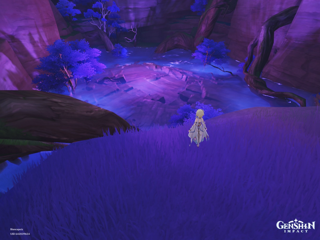 Raiden Bathwater Looks Like Blueberry Juice Genshin Impact | HoYoLAB