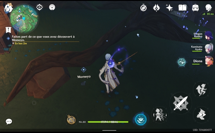 Ninja Genshin Impact | HoYoLAB