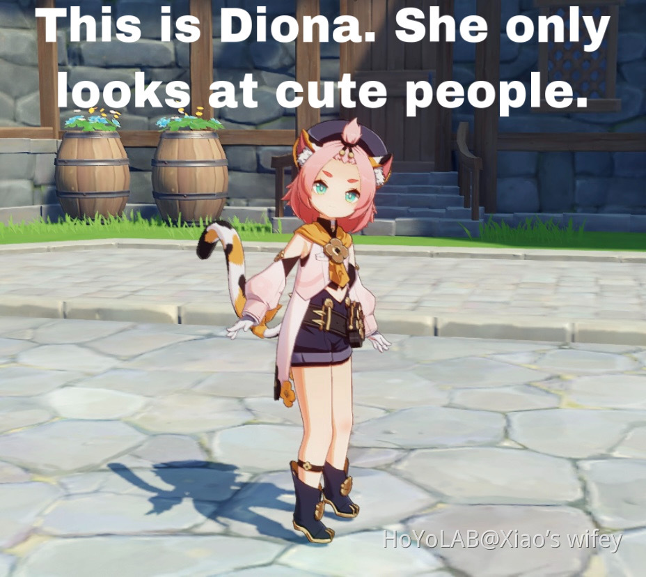 A Diona meme Genshin Impact | HoYoLAB