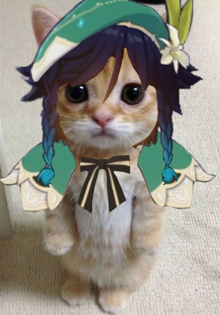 New Mimo frame is so cute | HoYoLAB