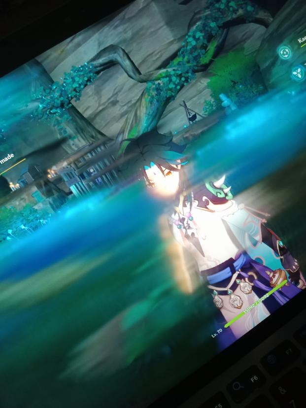 My screen looked all wonky and blurry after using Ayato's E Genshin ...