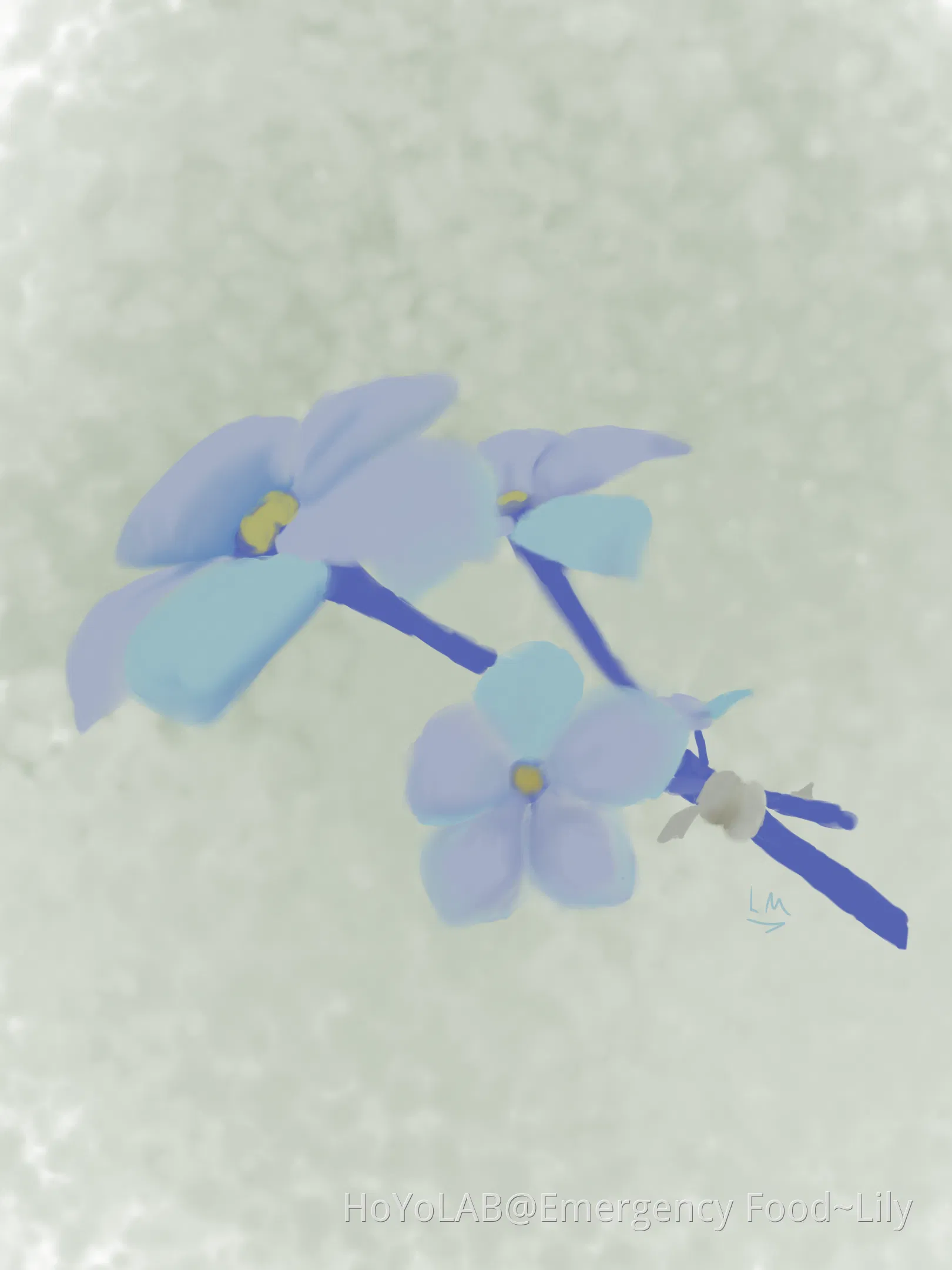 The Inteyvat~ Genshin Impact | HoYoLAB