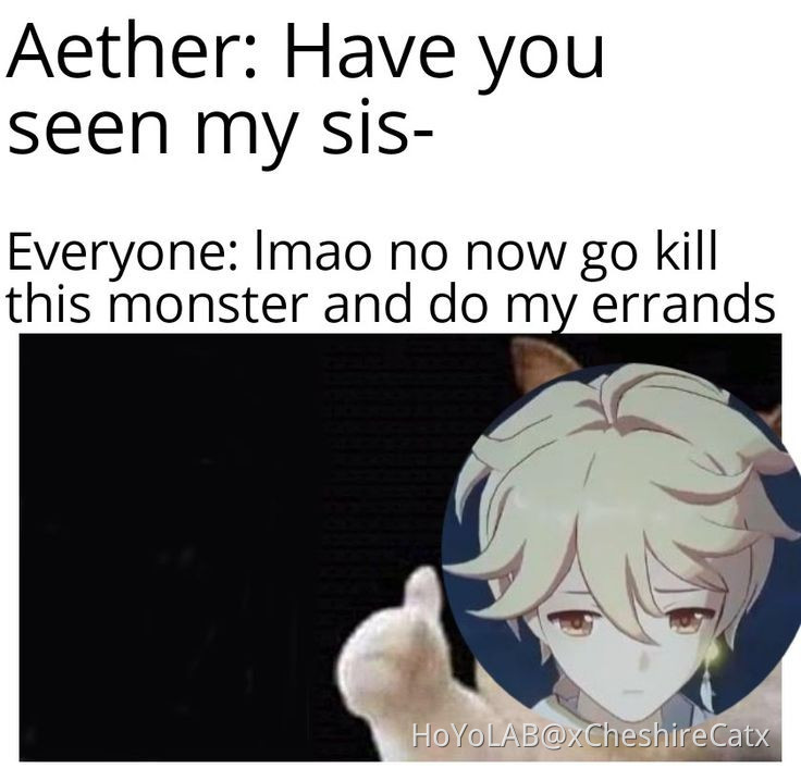 Random Genshin Impact Memes #7 Genshin Impact | HoYoLAB
