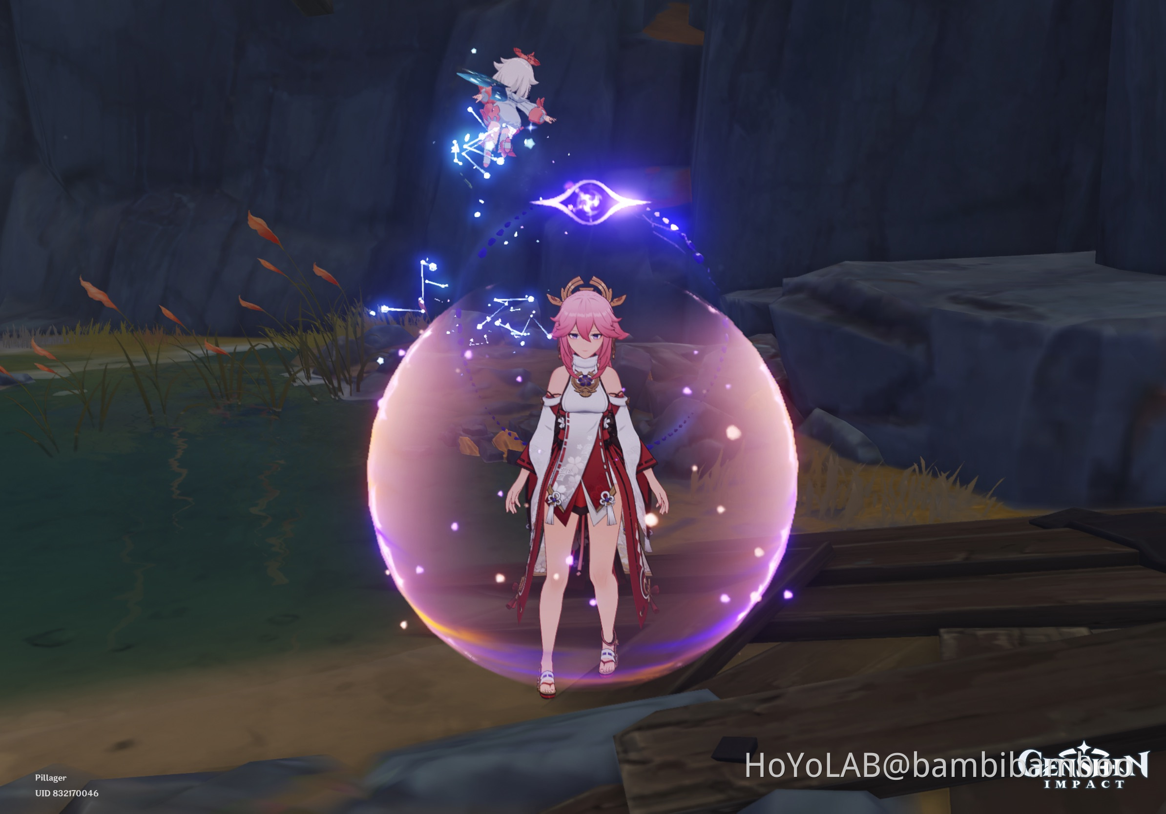 Pink Shield Genshin Impact | HoYoLAB