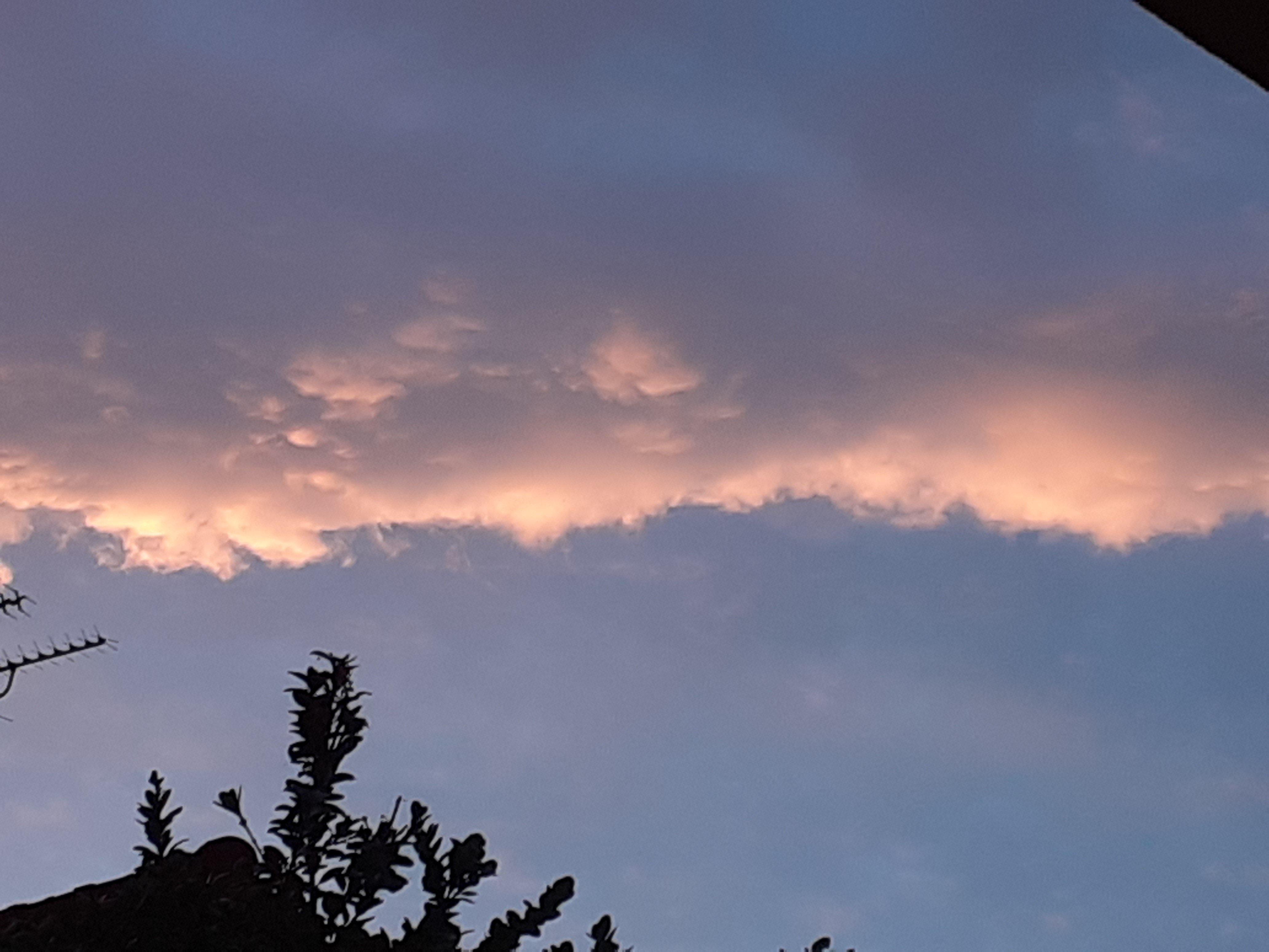 C trop beau | HoYoLAB