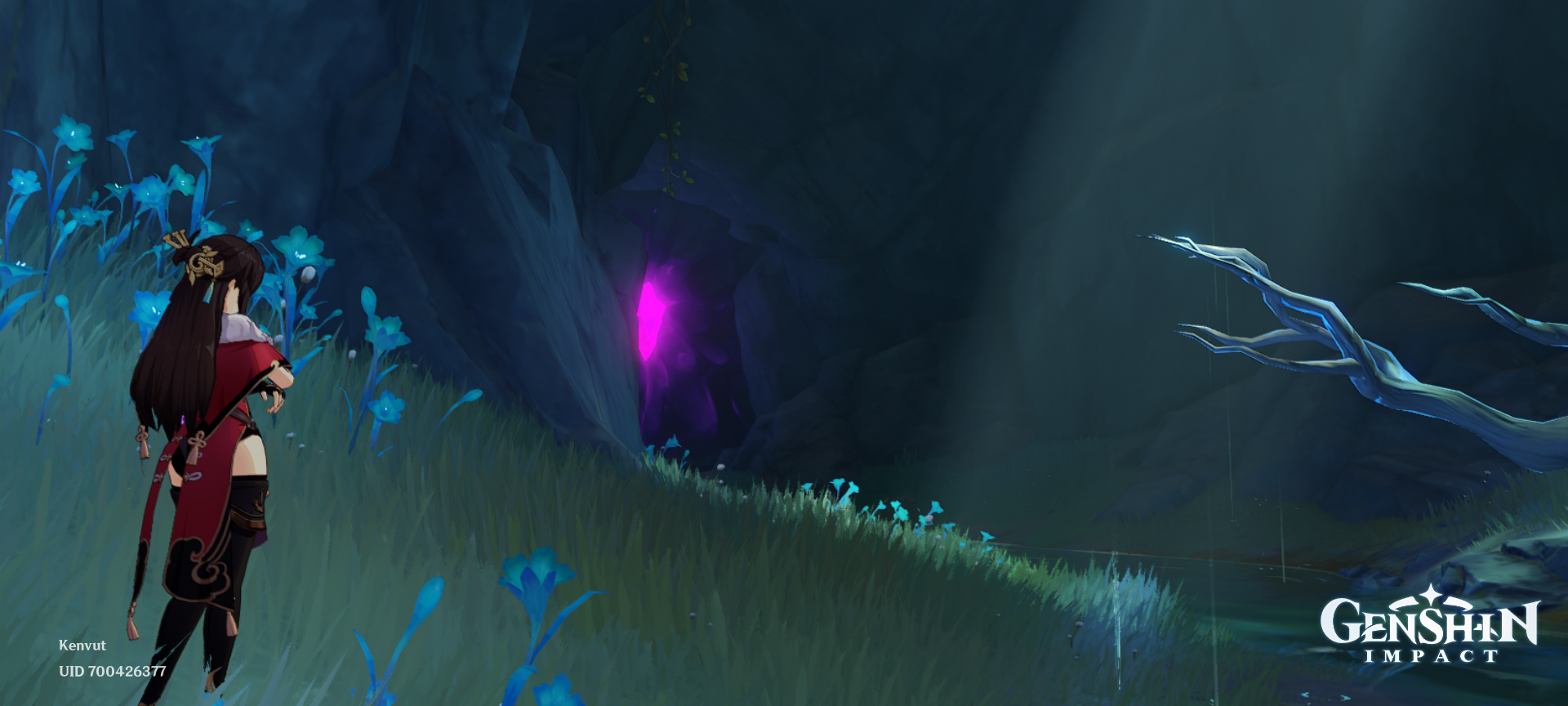 Beidou adventures Genshin Impact | HoYoLAB