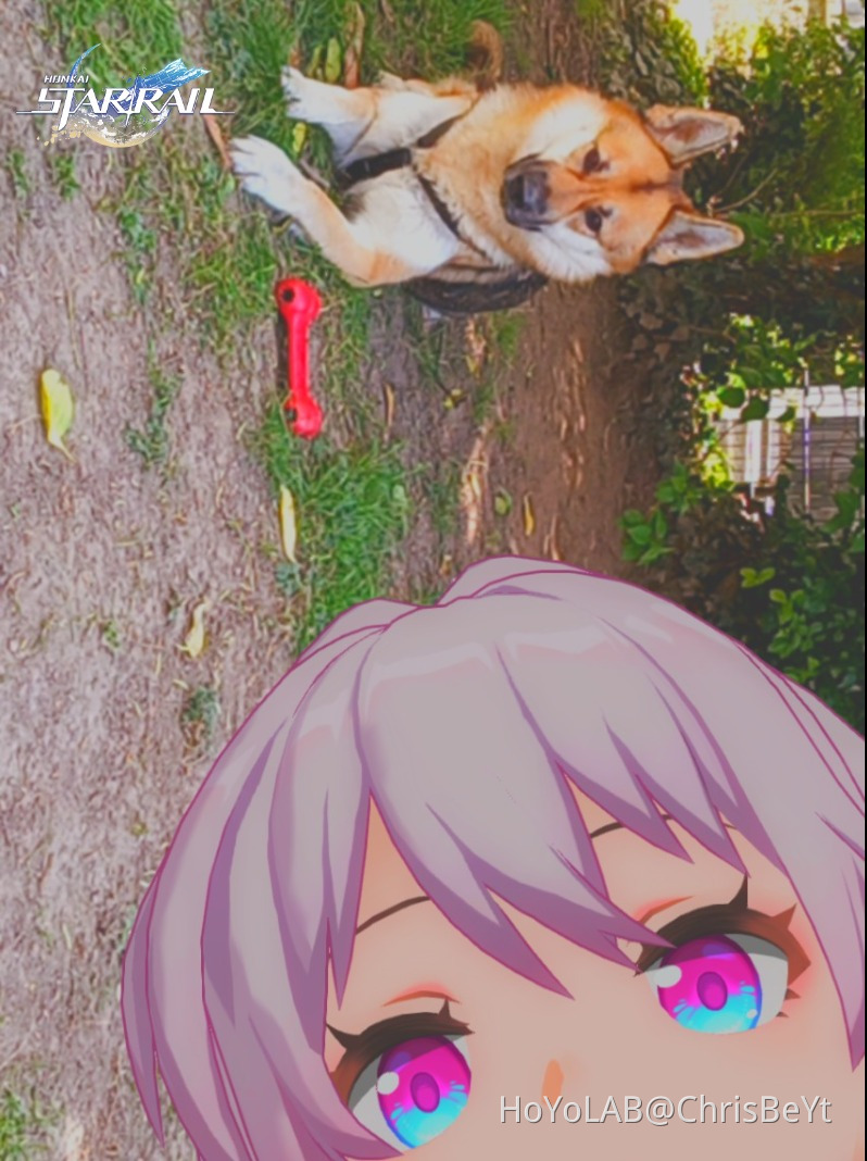 My doggos love Honkai Star Rail Honkai: Star Rail | HoYoLAB