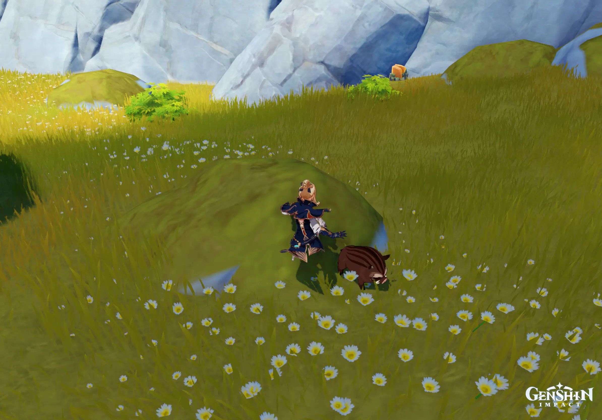 Baby boar locations! Genshin Impact | HoYoLAB