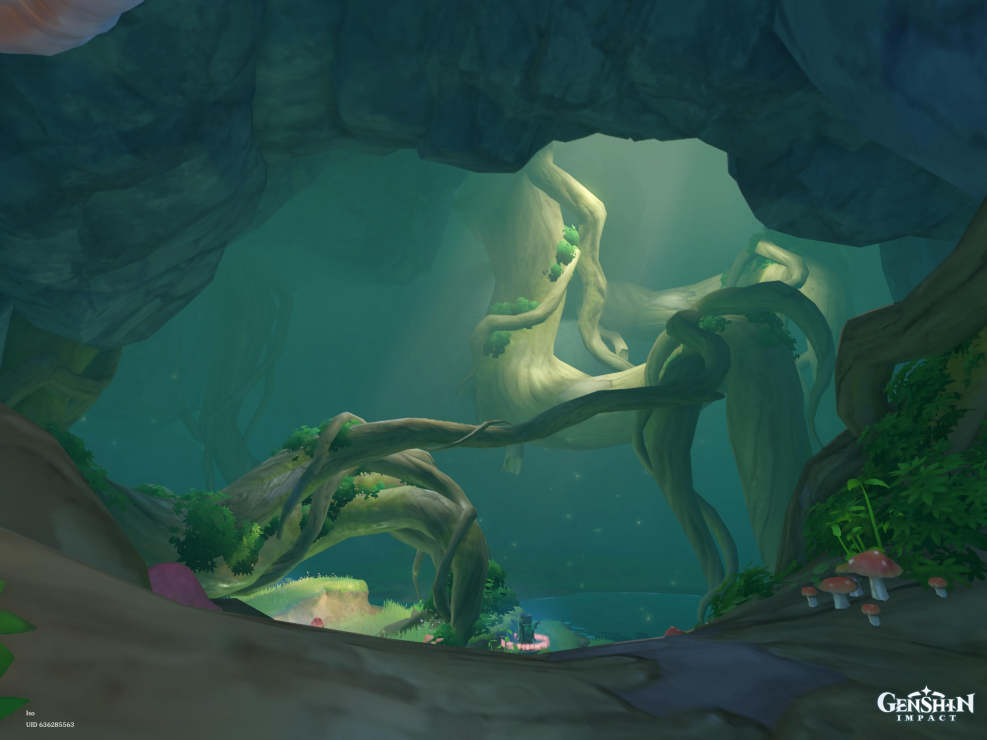 Day 293 of my daily Photography | HoYoLAB