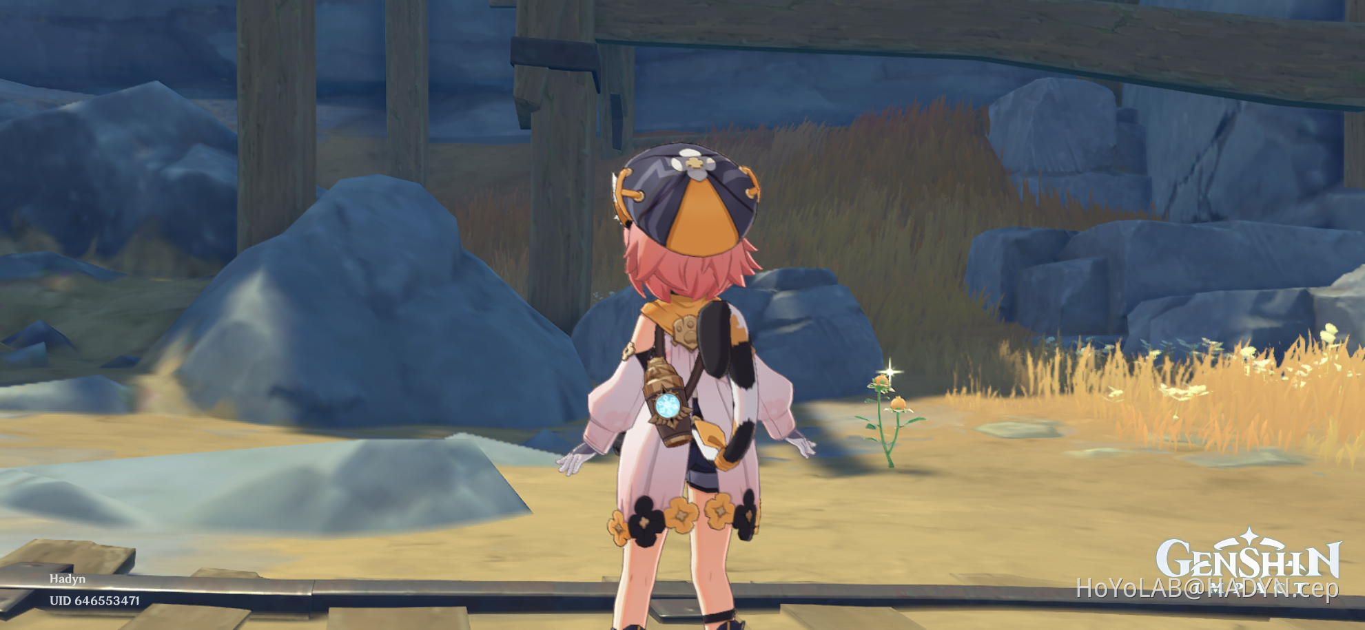 Diona’s Vision Genshin Impact | HoYoLAB