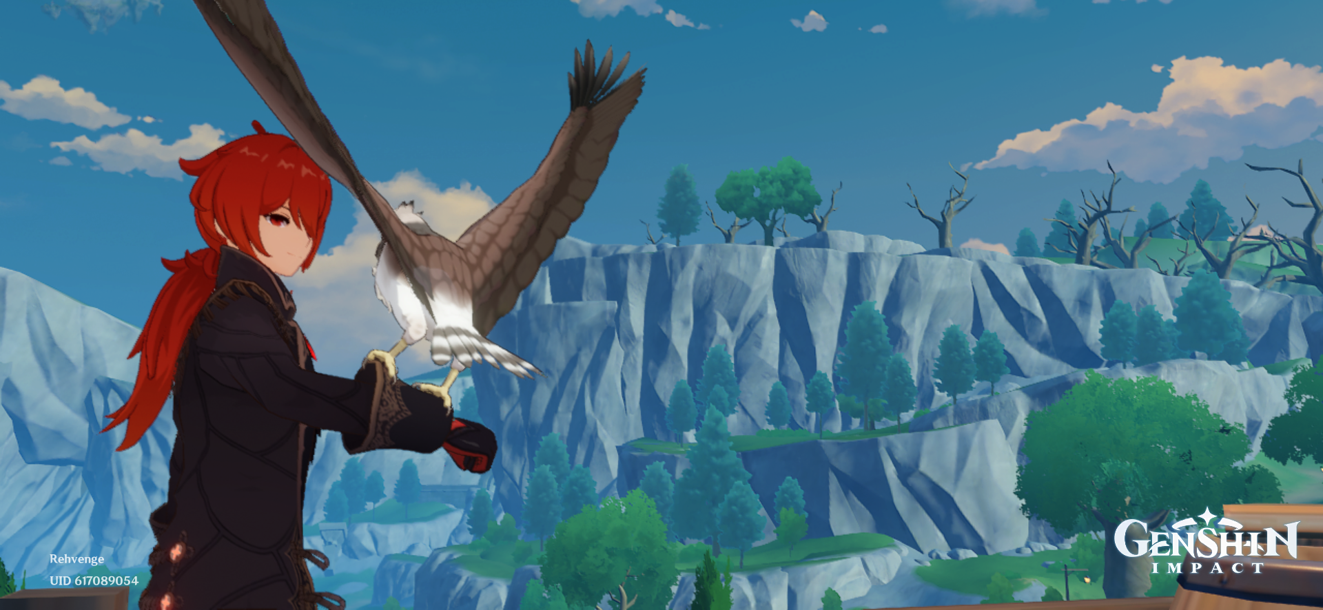 Happy birthday, Diluc! Genshin Impact | HoYoLAB