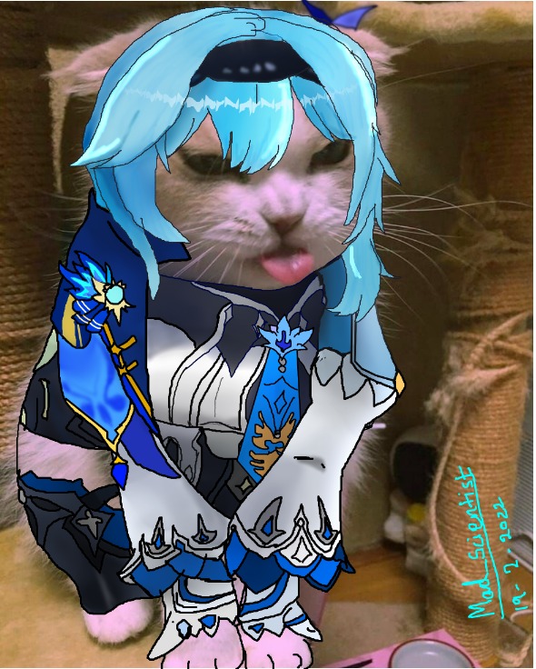 cat eula Genshin Impact | HoYoLAB