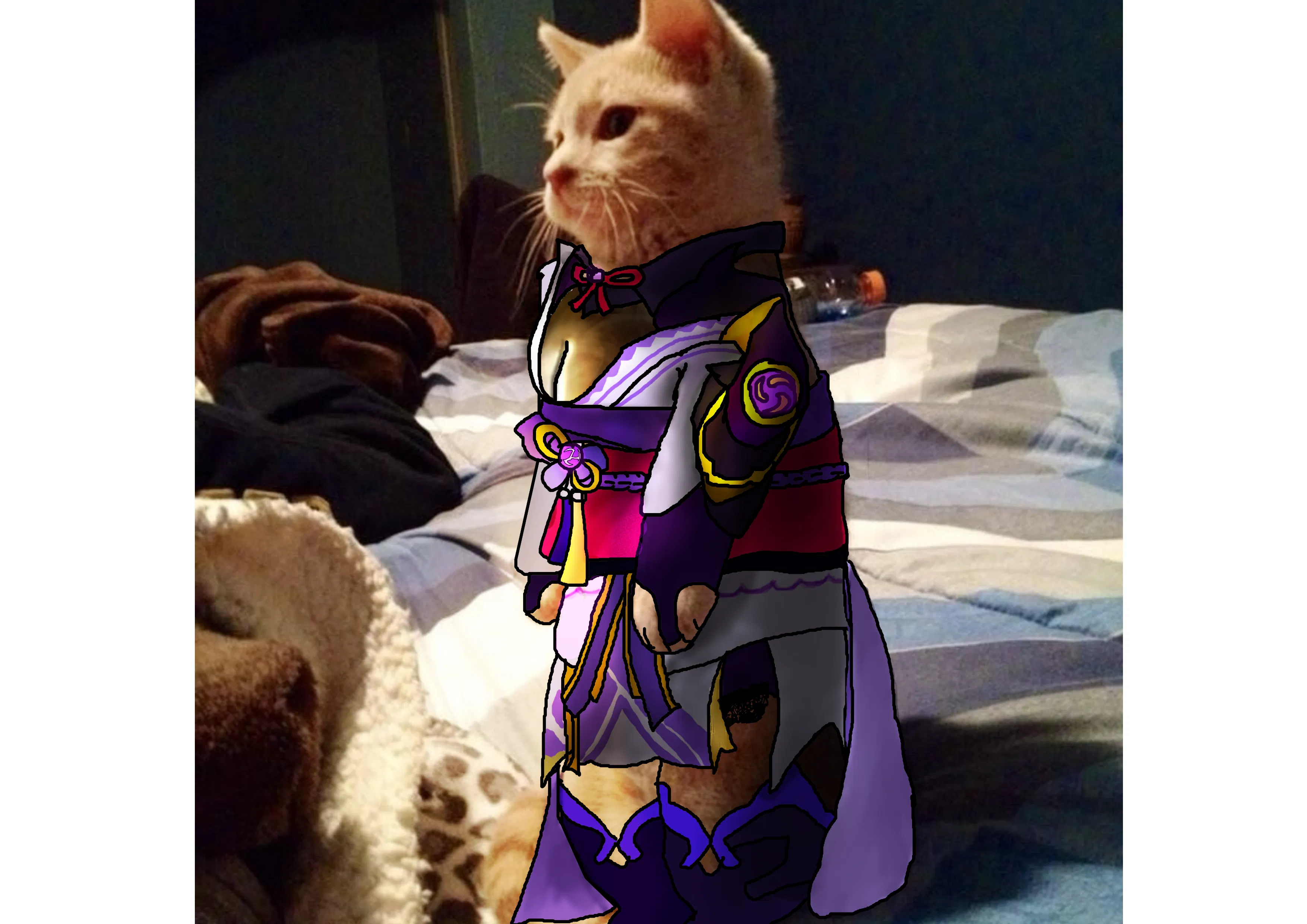 raiden neko Genshin Impact | HoYoLAB