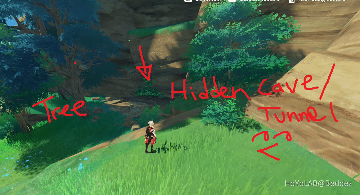 Hidden(?) Cave//Tunnel on Inazuma 2.6 Genshin Impact | HoYoLAB