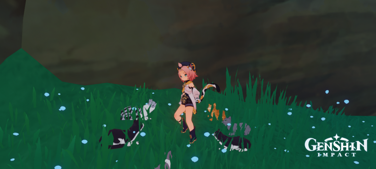 Diona, the cat archon Genshin Impact | HoYoLAB