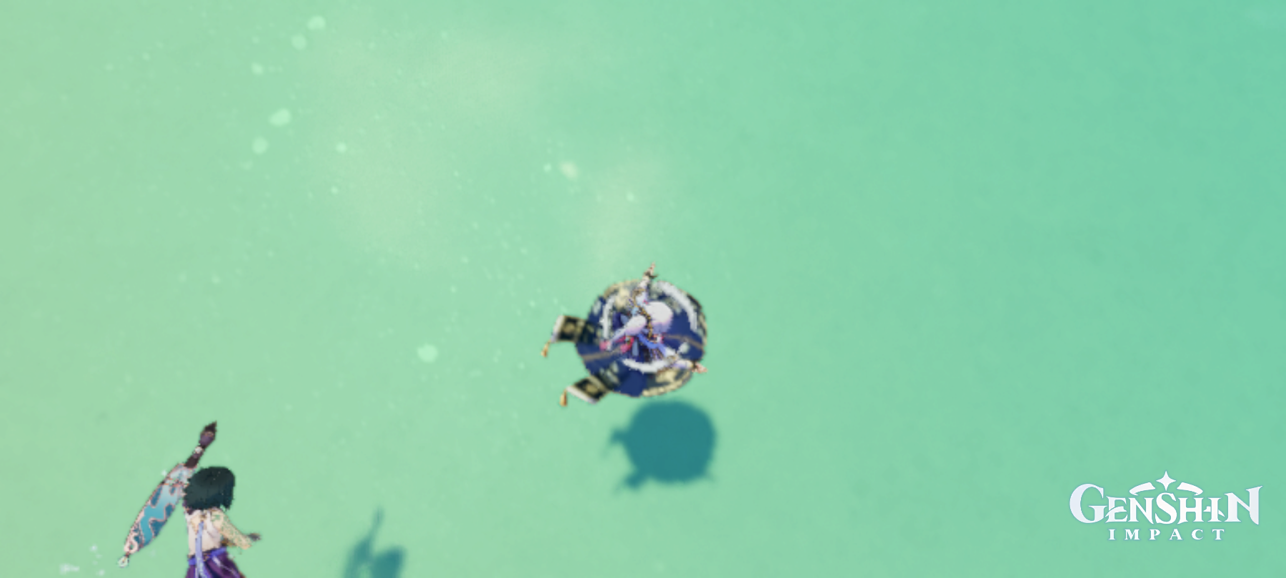 Turtle Genshin Impact | HoYoLAB