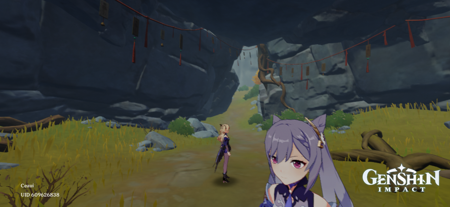 This an album cover? Genshin Impact | HoYoLAB