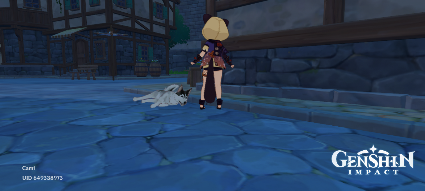 Doge Genshin Impact | HoYoLAB