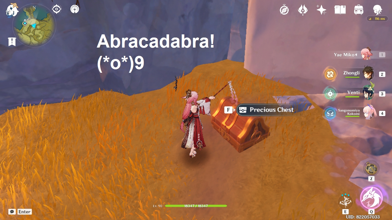 Minlin: Canyon Wall Area, Hidden Treasure Hoarder Precious Chest #3 ...