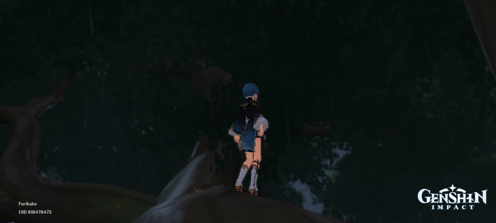 rain in windrise Genshin Impact | HoYoLAB