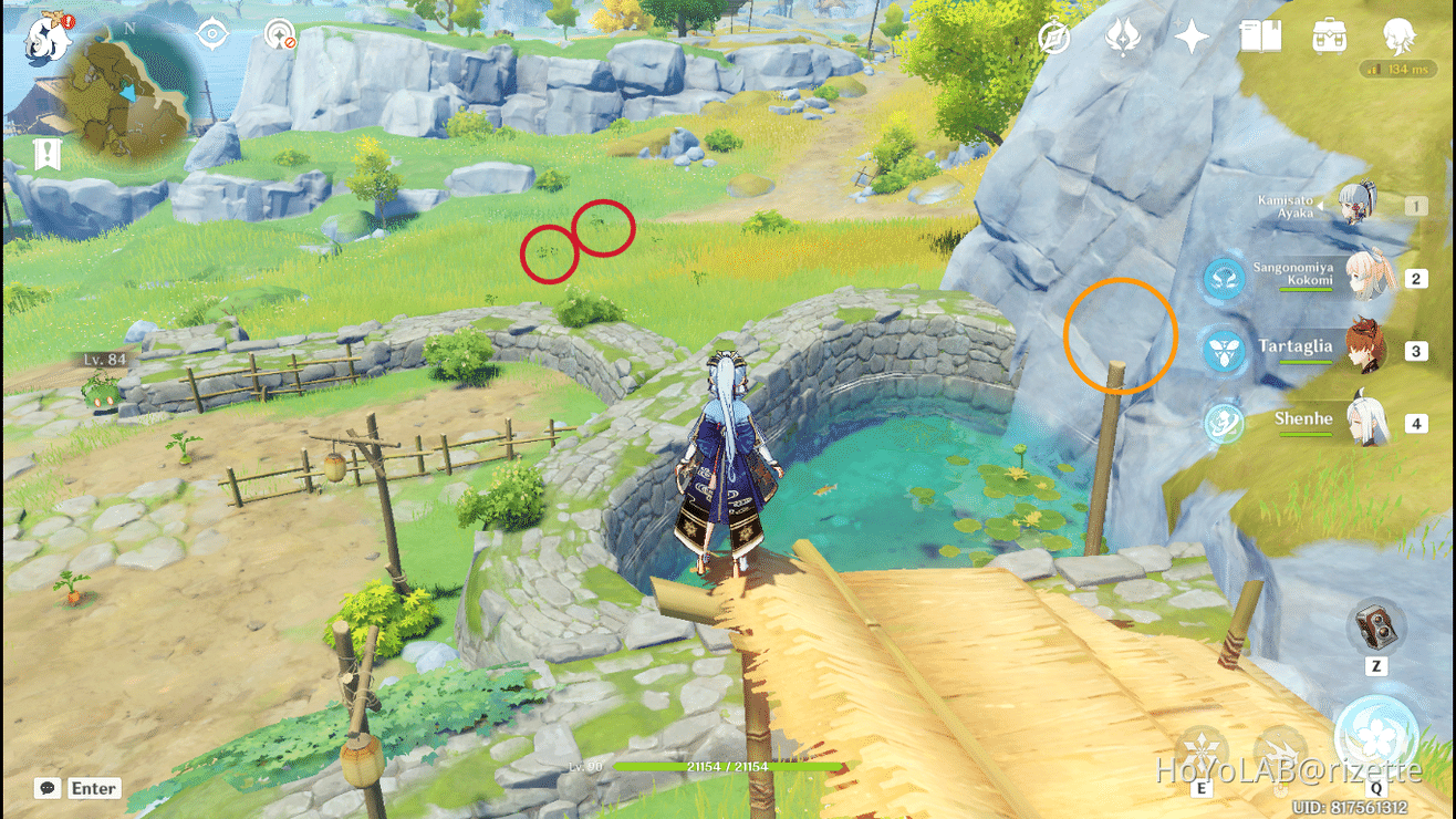 [136 Hidden Chest] Semua Lokasi Hidden Chest di Minlin | Part 2 ...