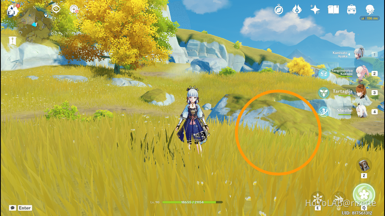 [136 Hidden Chest] Semua Lokasi Hidden Chest di Minlin | Part 2 ...