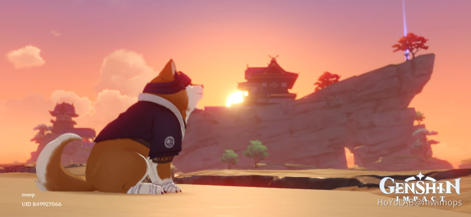 Ninken by the shore Genshin Impact | HoYoLAB