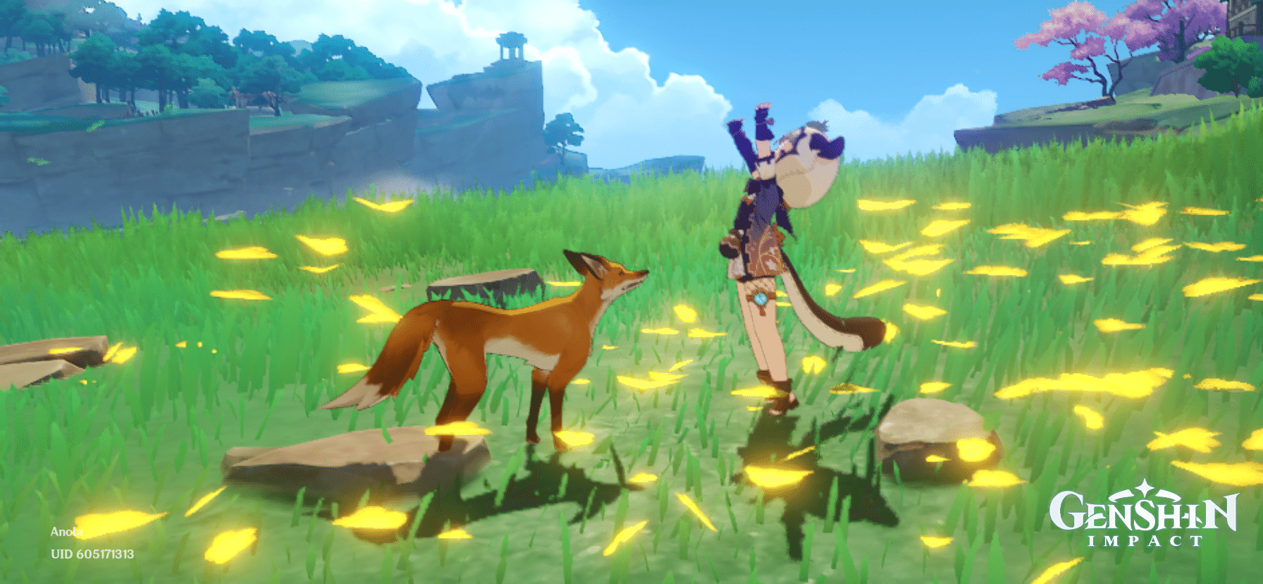 When you catch an animal it would be awesome if you could interact with ...