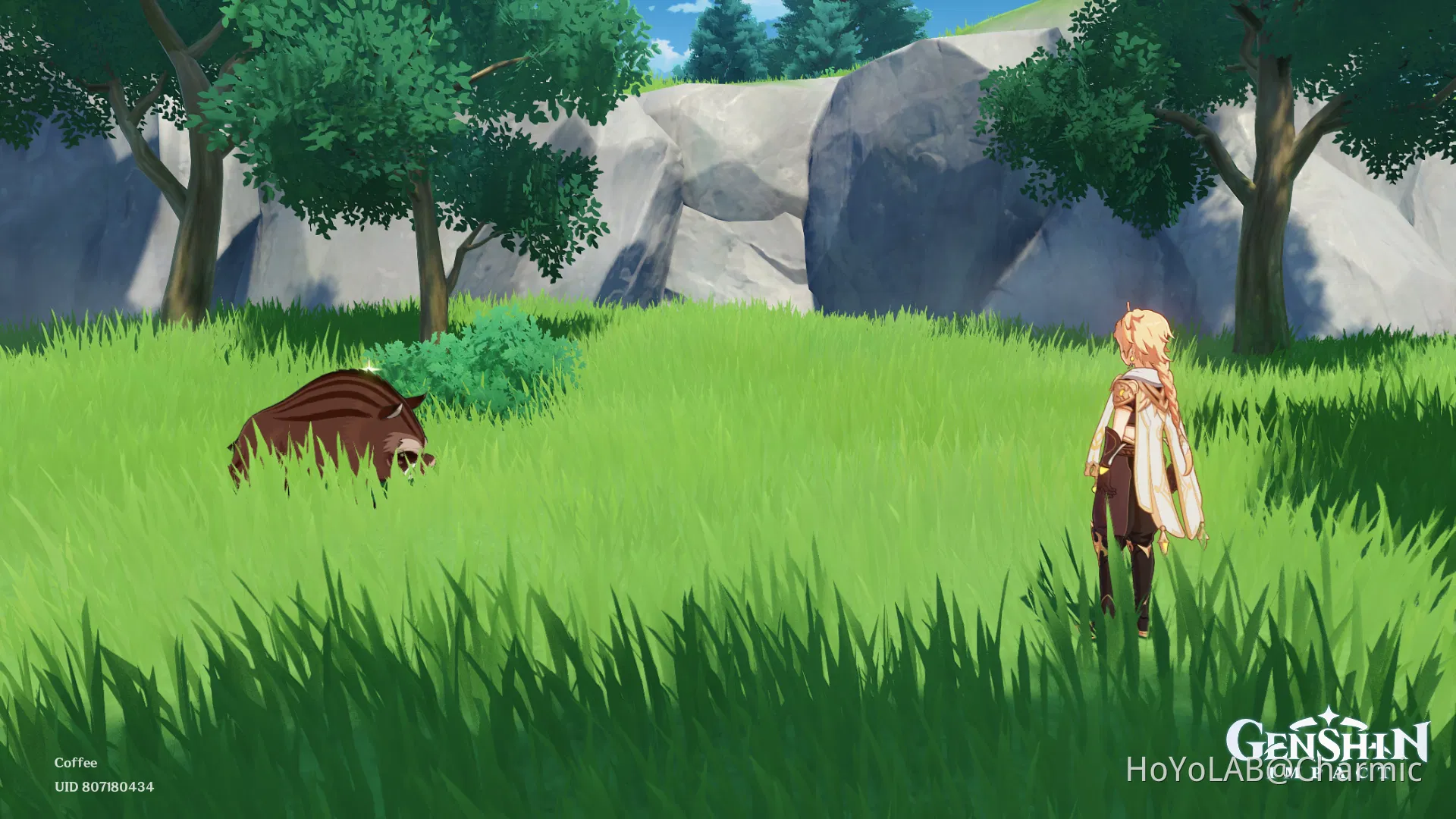 A Day with Forest Boar Genshin Impact | HoYoLAB