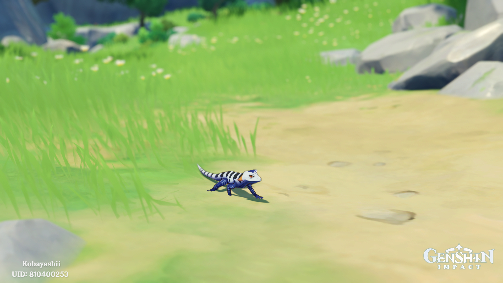 Lizard :) Genshin Impact | HoYoLAB