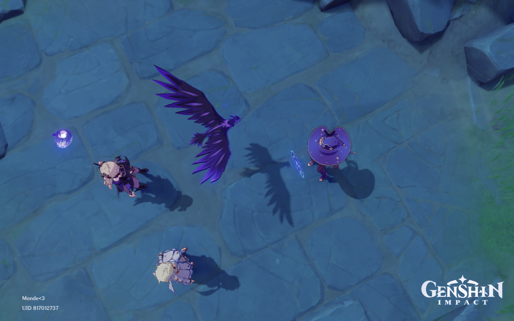 Flowers in May 12 Genshin Impact | HoYoLAB