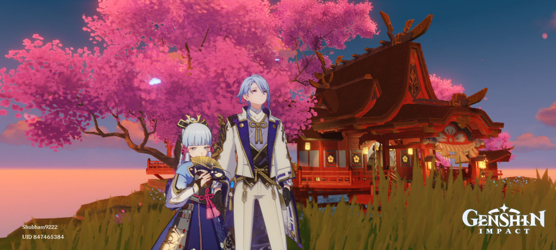 Kamisato Siblings Genshin Impact | HoYoLAB