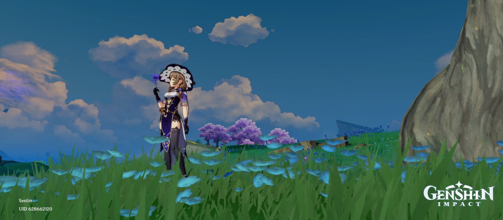 Hm..?~ Genshin Impact | HoYoLAB