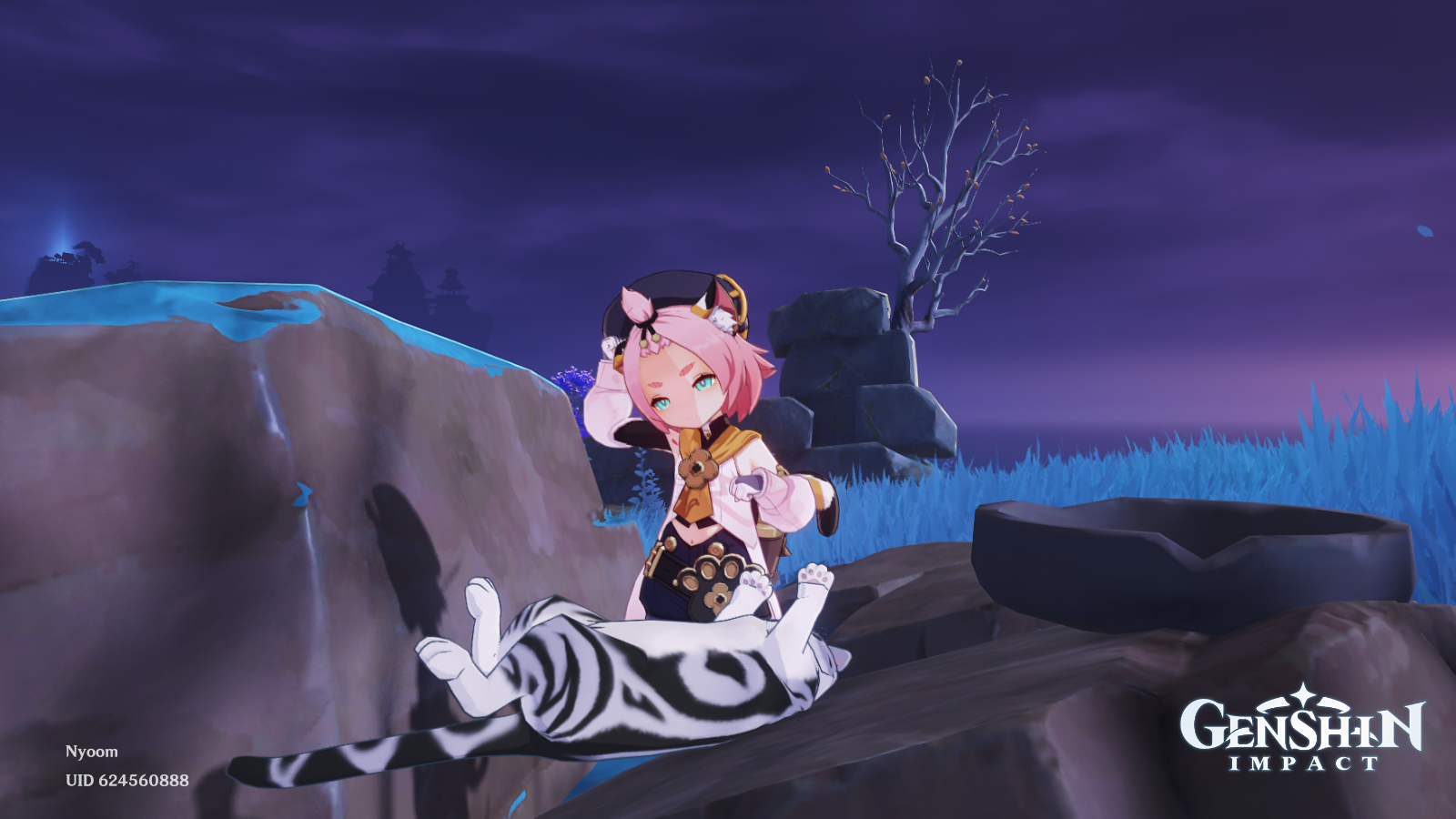 Kitties :D (The Wonderful Animals of Teyvat Contest) Genshin Impact ...