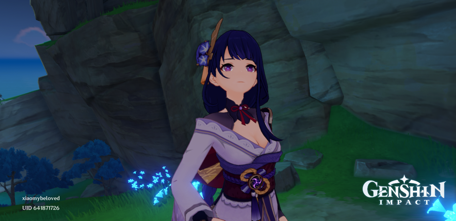 raiden Genshin Impact | HoYoLAB