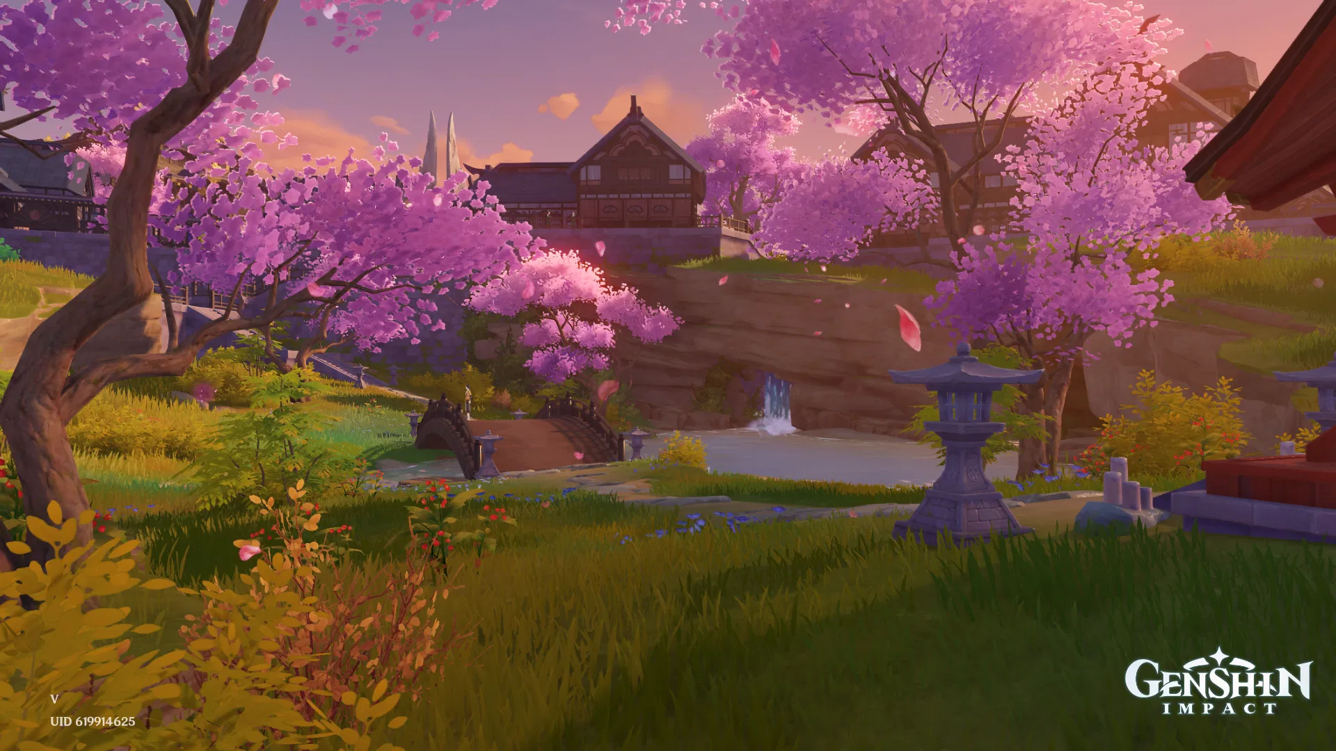 Cherry blossoms in Inazuma #1 Genshin Impact | HoYoLAB