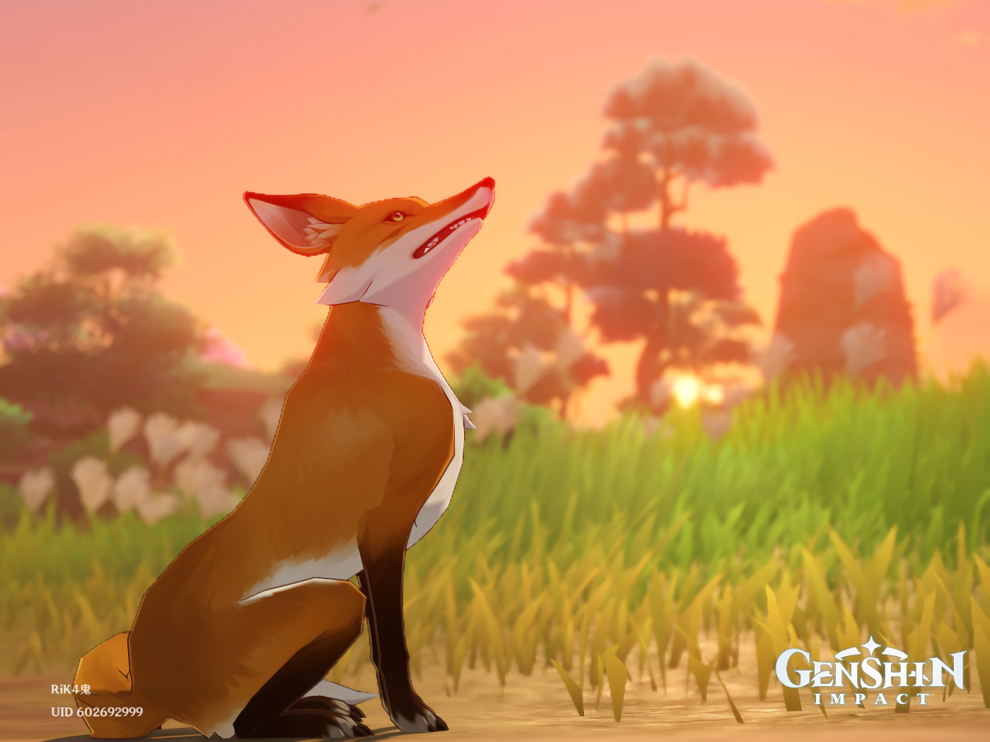 The varying shades of Inazuma's sky | Genshin Impact | HoYoLAB