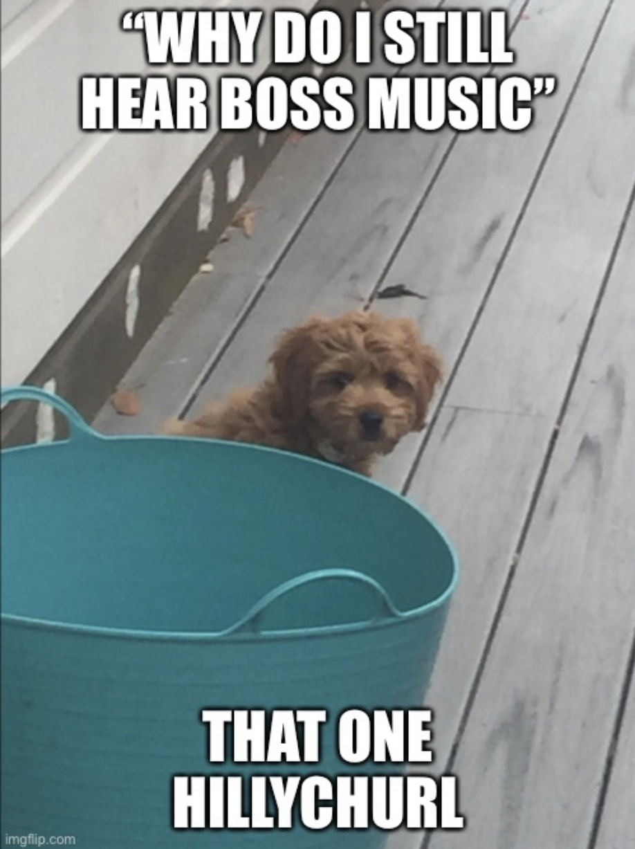Meet Dustie she’s my six month old groodle and I made a meme with her ...