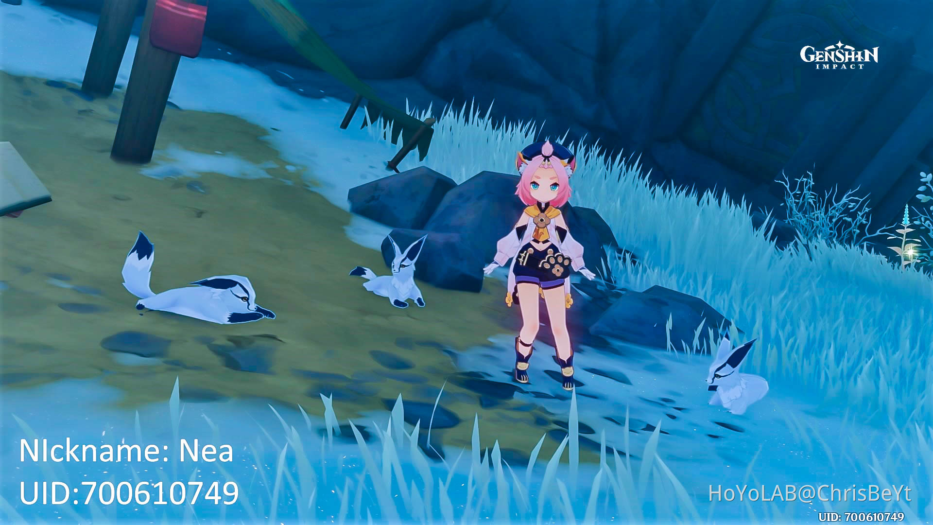 Cute snow foxes in Dragonspine Genshin Impact | HoYoLAB