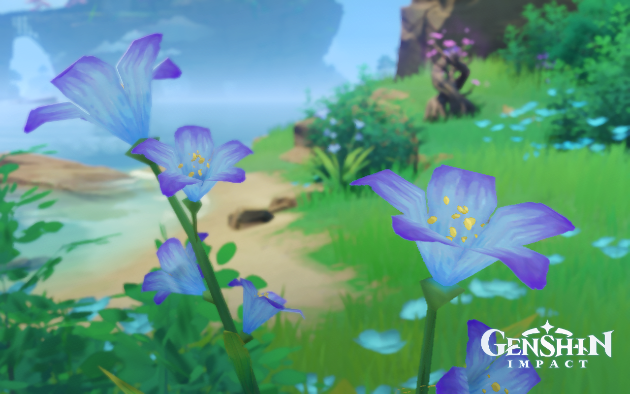 Some flower pics Genshin Impact | HoYoLAB