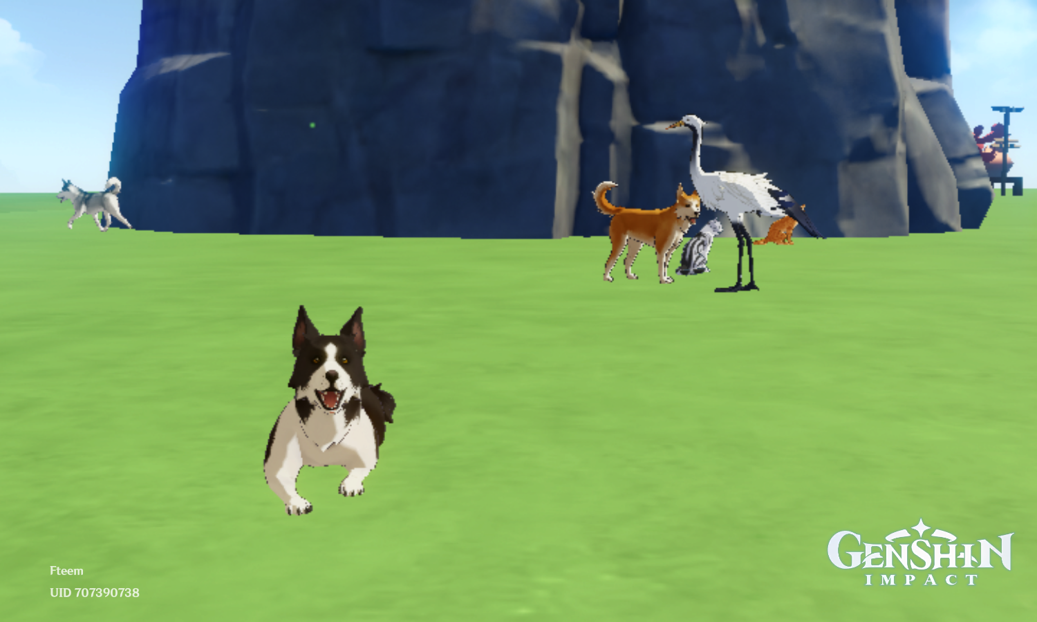 animals Genshin Impact | HoYoLAB