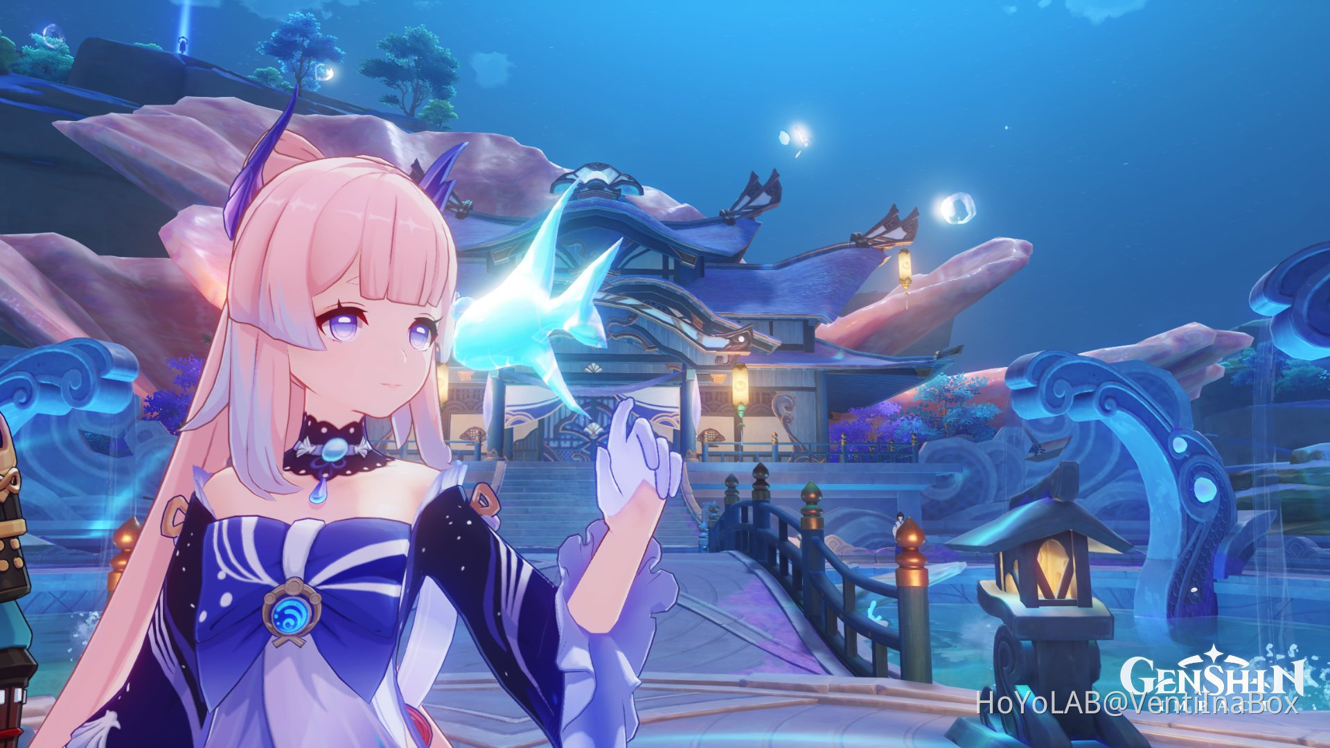 Kokonut Genshin Impact | HoYoLAB