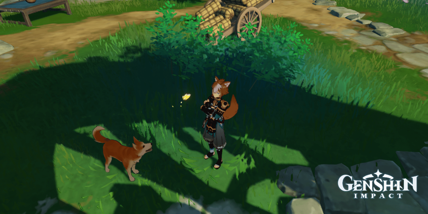 Two dogs. Genshin Impact | HoYoLAB
