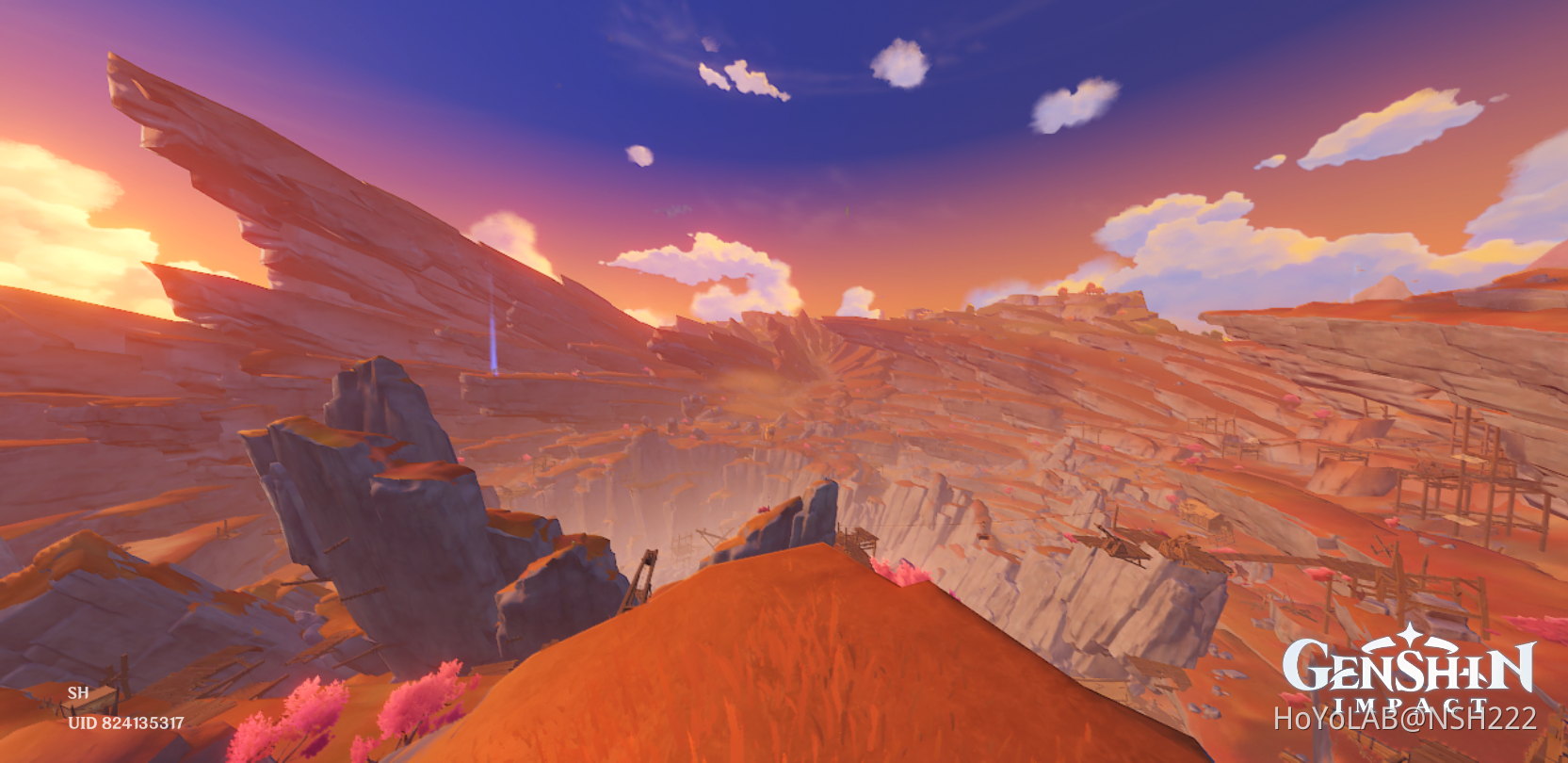 Some Chasm Pictures! :D Genshin Impact | HoYoLAB