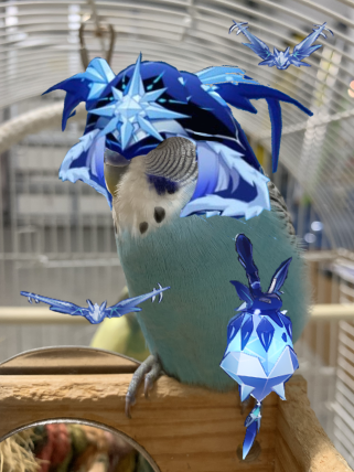 I edited my birds as genshin things Genshin Impact | HoYoLAB