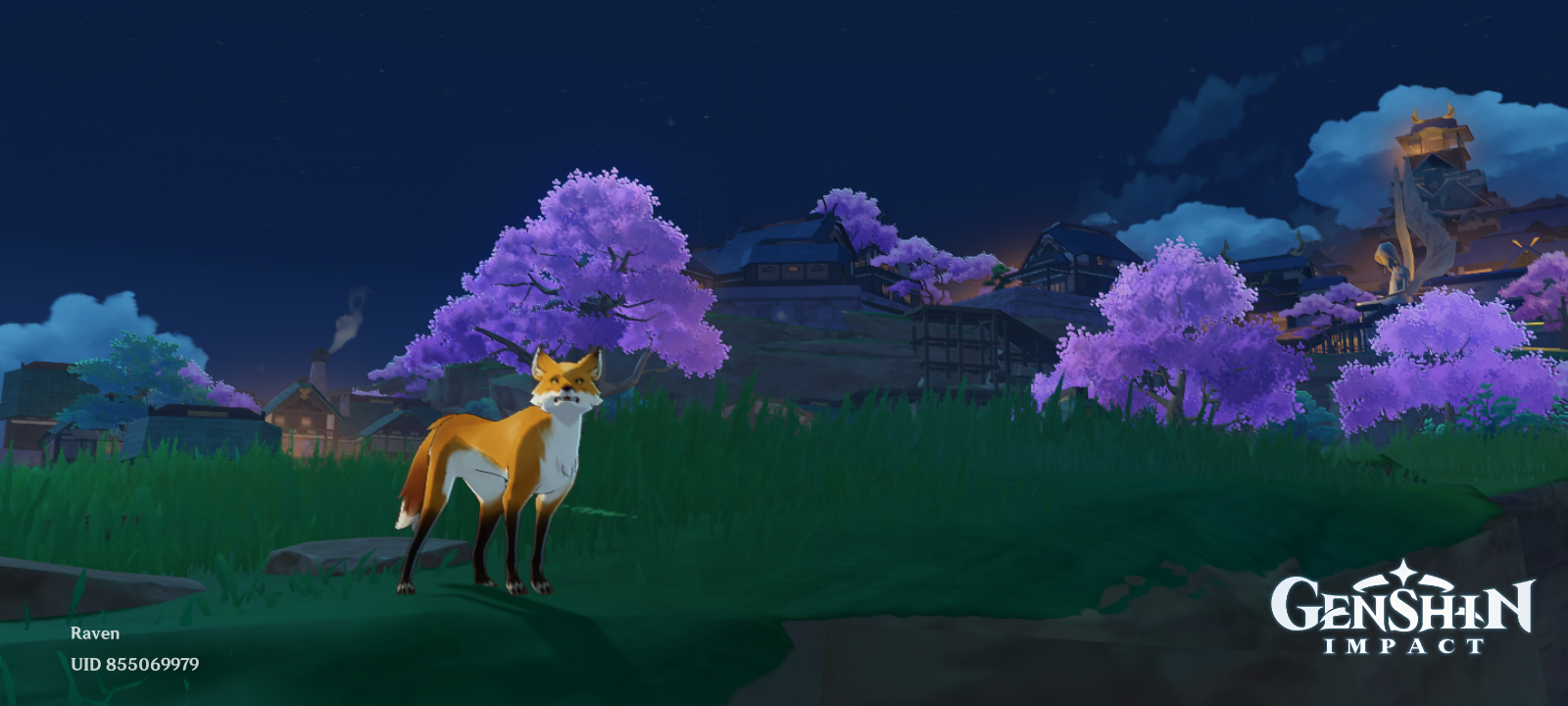 Animal of teyvat (Inazuma) Genshin Impact | HoYoLAB