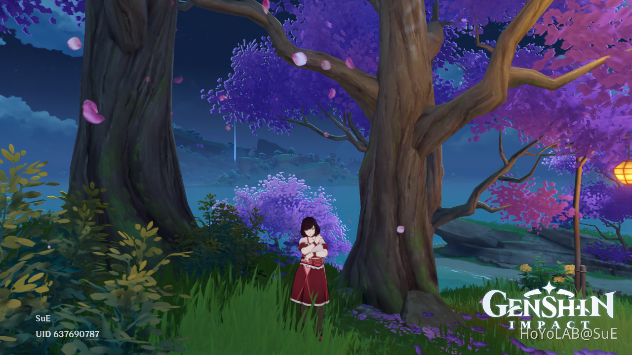 My Favorite NPC and Commission in Inazuma :3 Genshin Impact | HoYoLAB