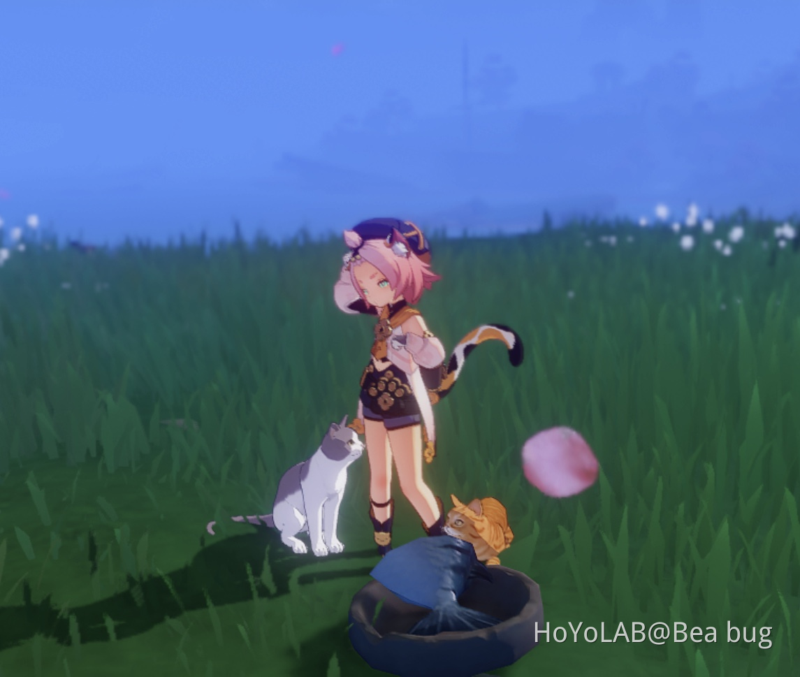 Diona in inazuma | Genshin Impact | HoYoLAB